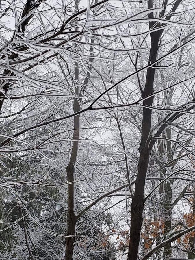 Freezing stock image. Image of rain, late, winter, freezing - 144043837