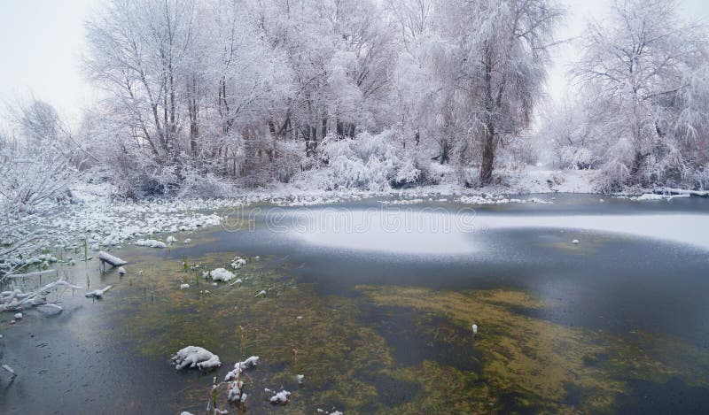 A Freezing Lake in the Winter Stock Image - Image of park, freeze ...