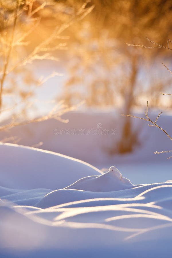 A freezing morning stock photo. Image of foggy, island - 36221092