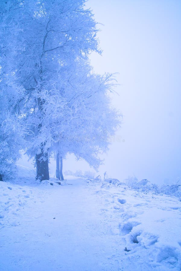 A freezing morning stock photo. Image of foggy, island - 36221092