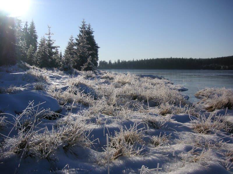 Freezing Morning at the Mountain Lake Stock Image - Image of freezing ...