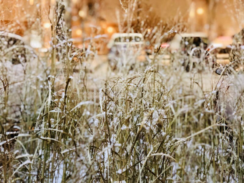 Freezing night stock photo. Image of restaurant, winter - 141410466