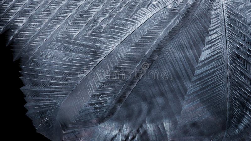 Freezing Pattern Covering a Black Background. Soap Bubble Freezing in ...
