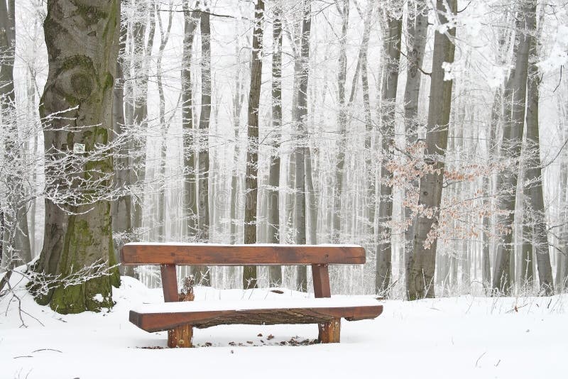 Freezing-point.2 stock image. Image of trip, relaxing - 3926747