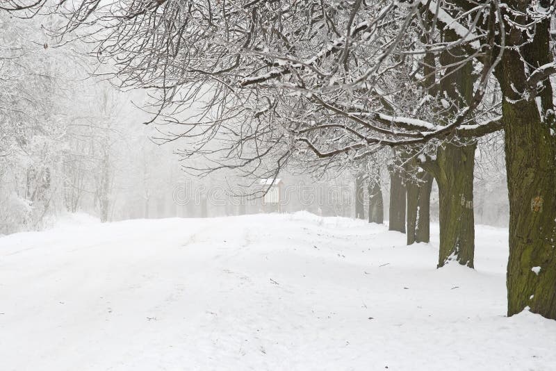 Freezing-point. Picture Image: 3926674