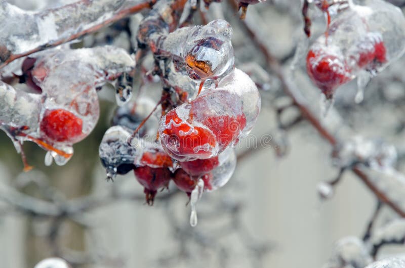 Freezing rain stock image. Image of meteorology, abstract - 37217611