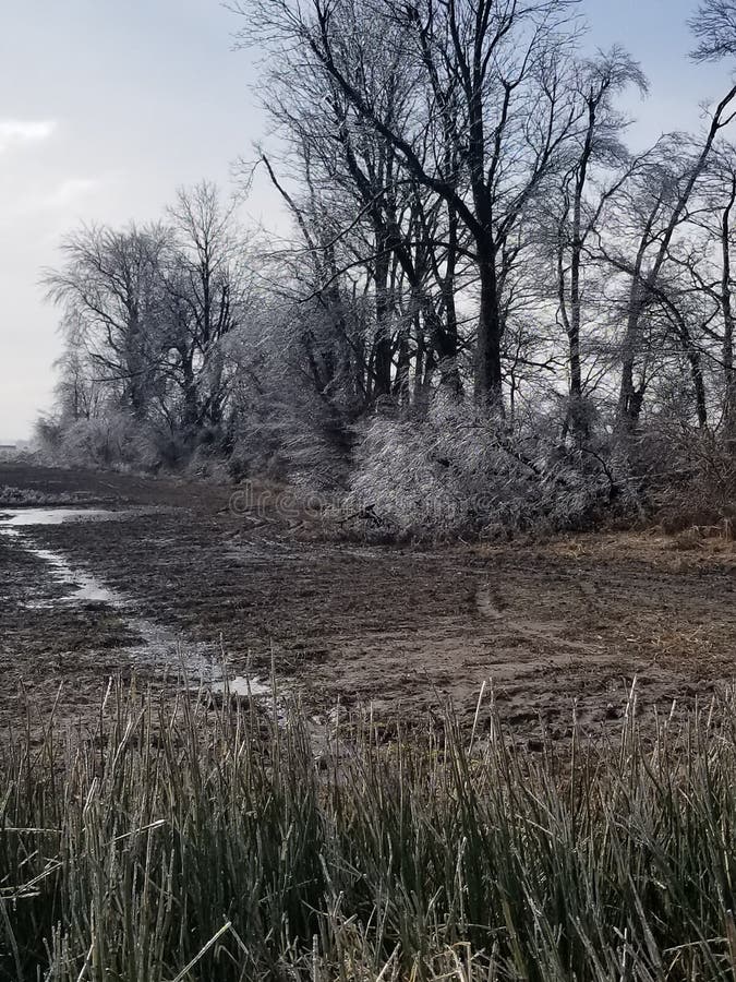 Freezing rain stock image. Image of feild, rain, freezing - 114107343