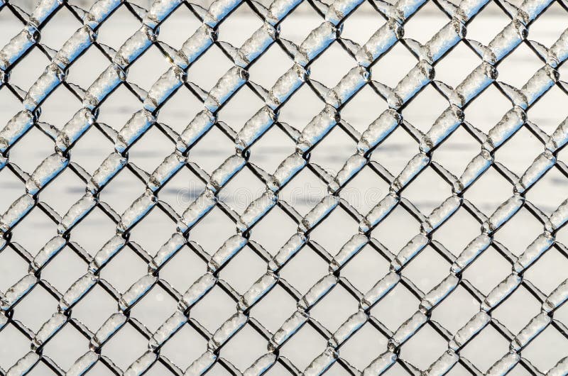 Freezing rain stock photo. Image of transparent, branch - 89549310