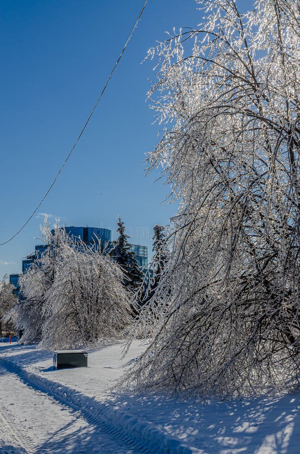 Freezing rain stock photo. Image of frosted, freezing - 223820892