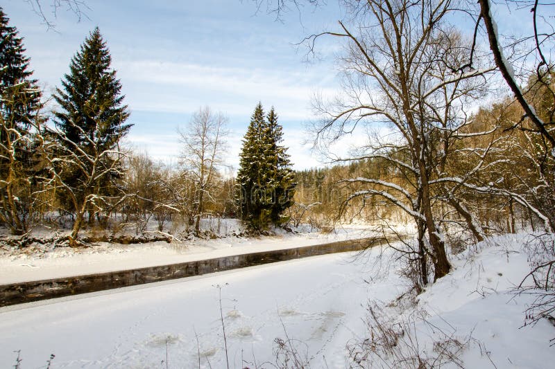 Freezing River in the Middle of the Winter Forest. Winter Nature Stock ...