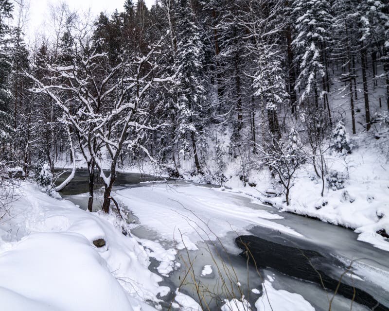 Freezing Small River among the Trees Stock Image - Image of cold ...