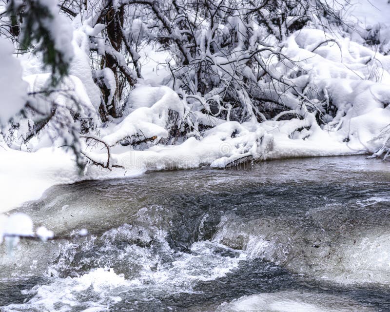 Freezing Small River among the Trees Stock Photo - Image of background ...