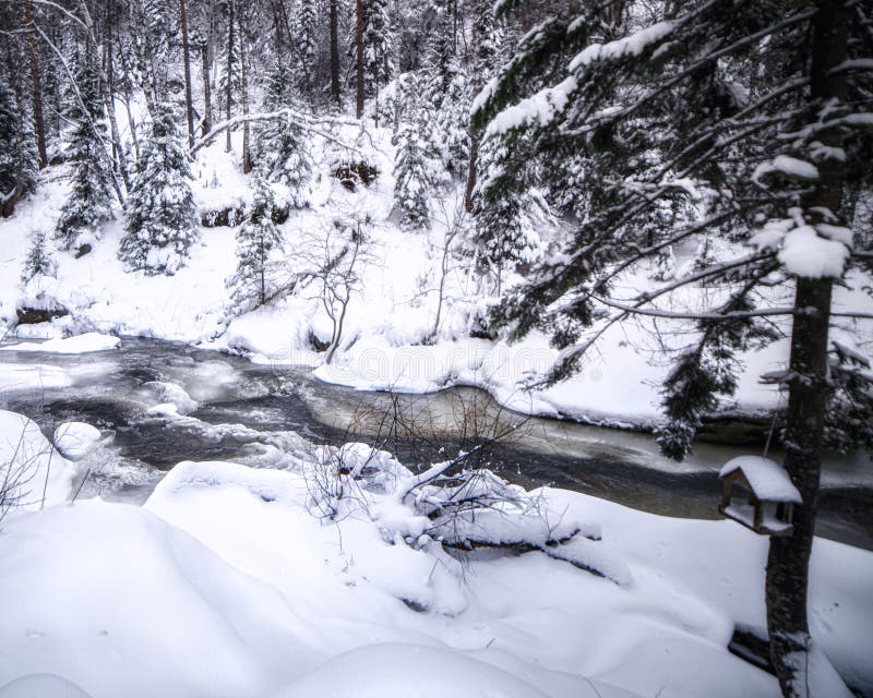 Freezing Small River among the Trees Stock Image - Image of snowy ...