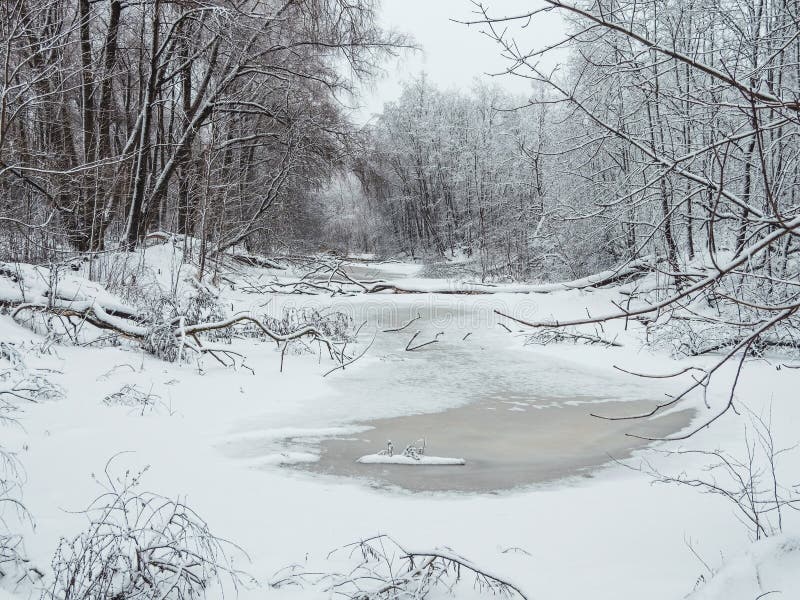 Freezing Stream in a Deep Forest, Wintertime Stock Photo - Image of ...