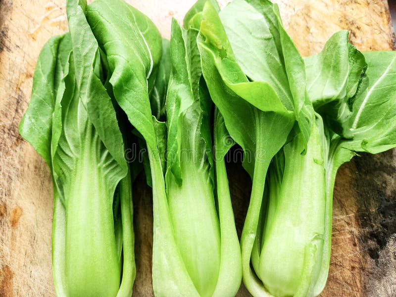 Freh bok choy vegetables stock image. Image of isolated - 271158597