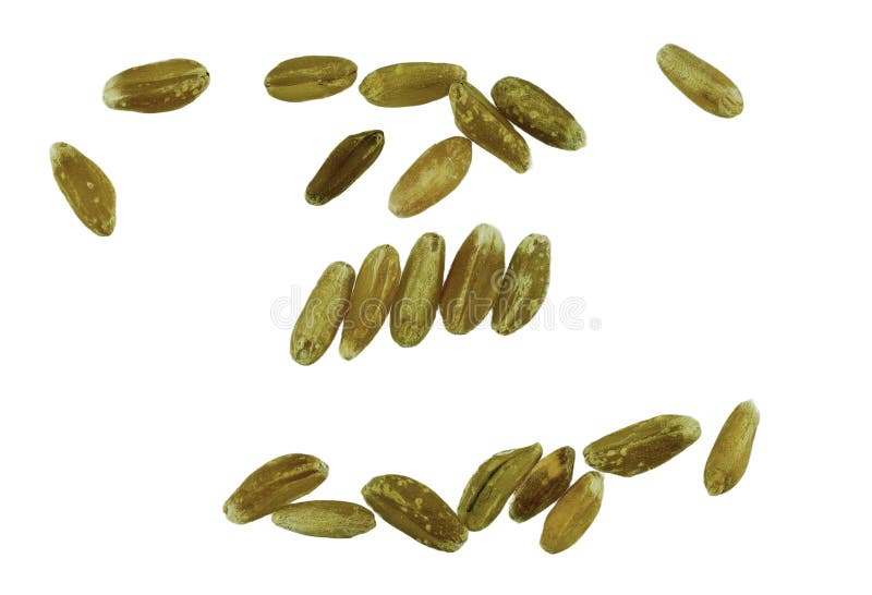 Background Motice with Structure and Colors Stock Image - Image of ...