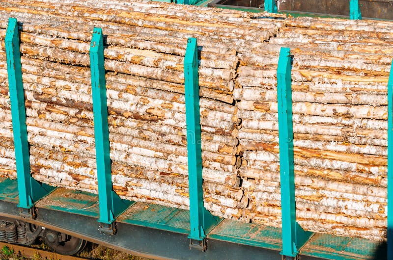 Cargo Timber Train. Open Train Carriage with a Bundle of Timber for ...