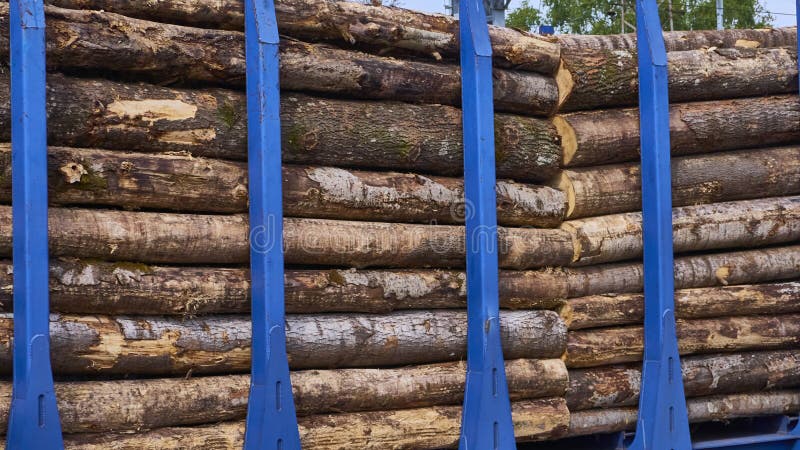 Freight Cars Loaded with Logs on Railway Tracks. Color Stock Image ...
