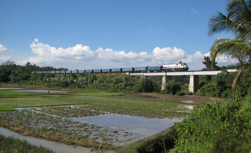 Freight Train on the Bridge Over the Rice Field Editorial Photography ...