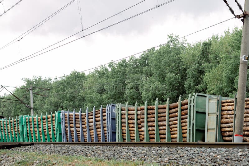 Freight train with logs. stock image. Image of railroad - 191038115