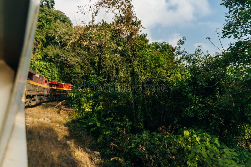 The Freight Train Passes by the Forest. Wagons with Goods Delivery ...