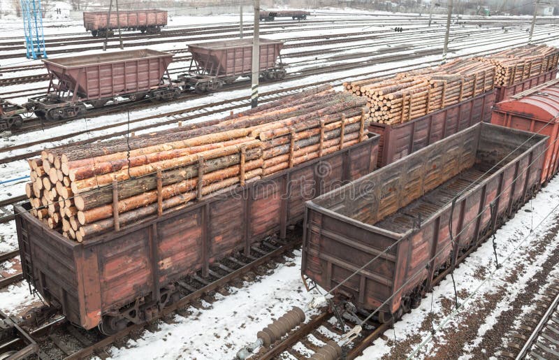 Freight Wagons with Logs and Empty Wagons Stock Image - Image of ...
