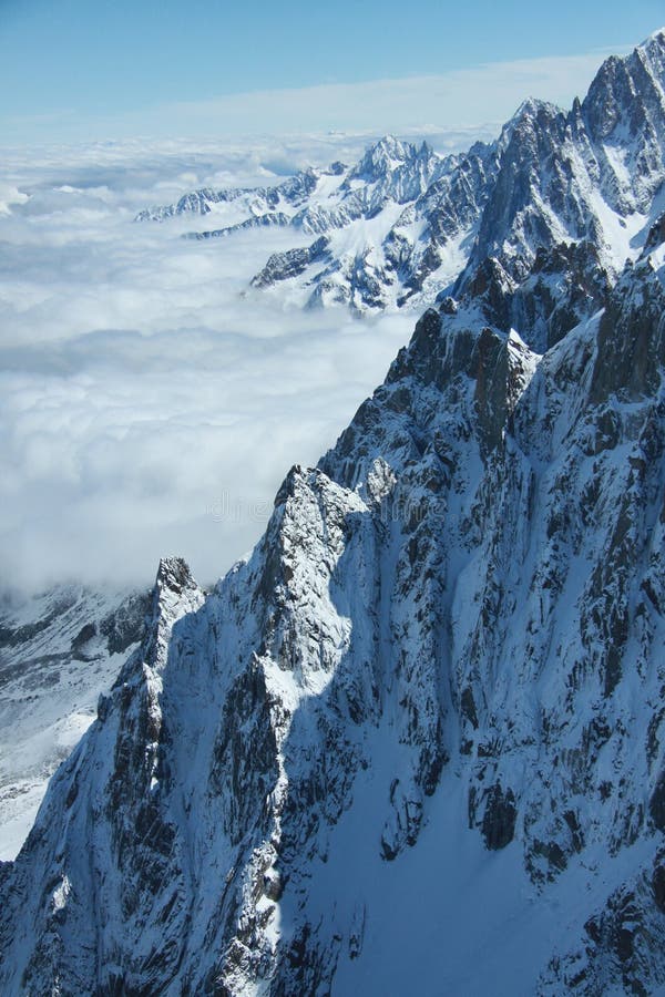 Beaver carnage stock image. Image of chips, nature, sawdust - 999391