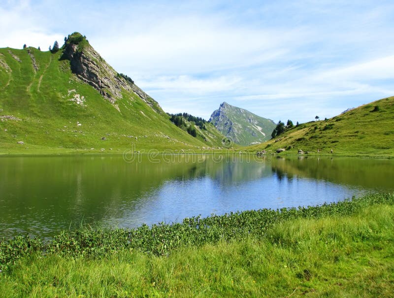 French Alps stock image. Image of flower, france, spring - 22443595