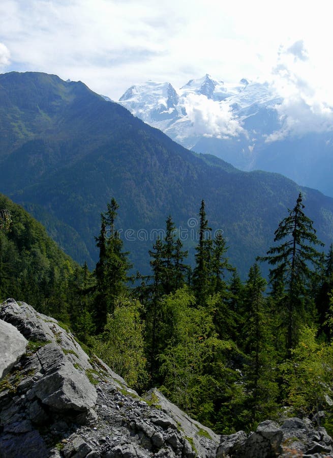 French Alps Mountainside and Forest Servoz Stock Image - Image of ...