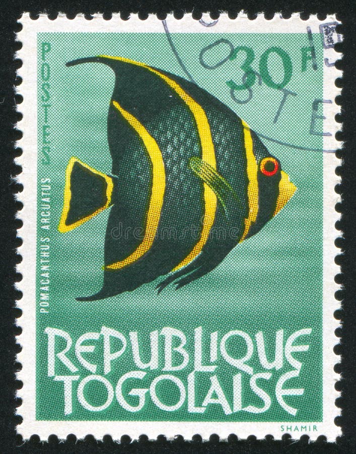 Postage Stamp Togo 1999. Fantail Goldfish Carassius Auratus Editorial ...