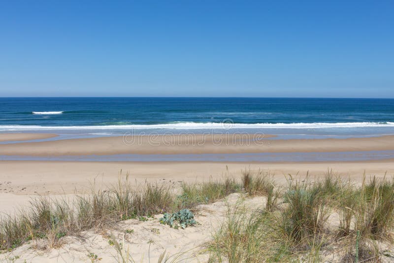 French Atlantic Beach Sand Dunes View Background Ocean Stock Photo ...