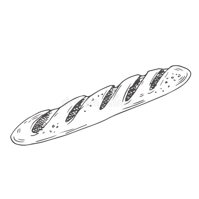 French Baguette Icon. Outline French Baguette Vector Icon for Web ...