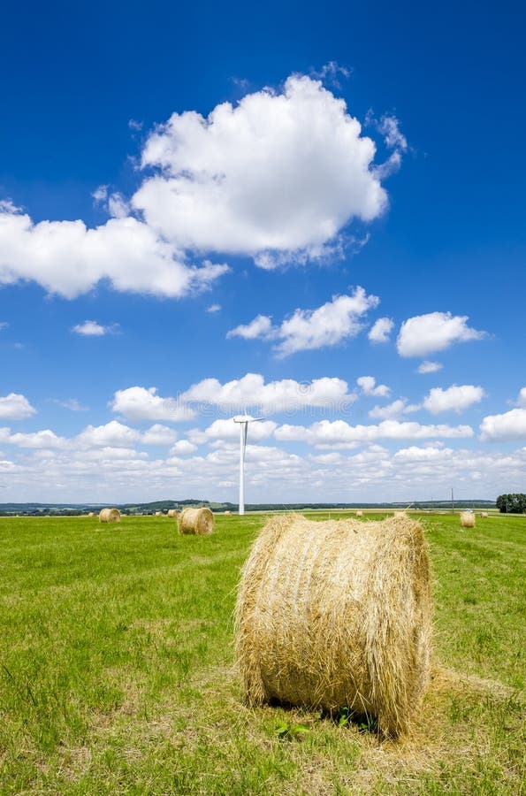 French Bails Stock Photos - Free & Royalty-Free Stock Photos from ...