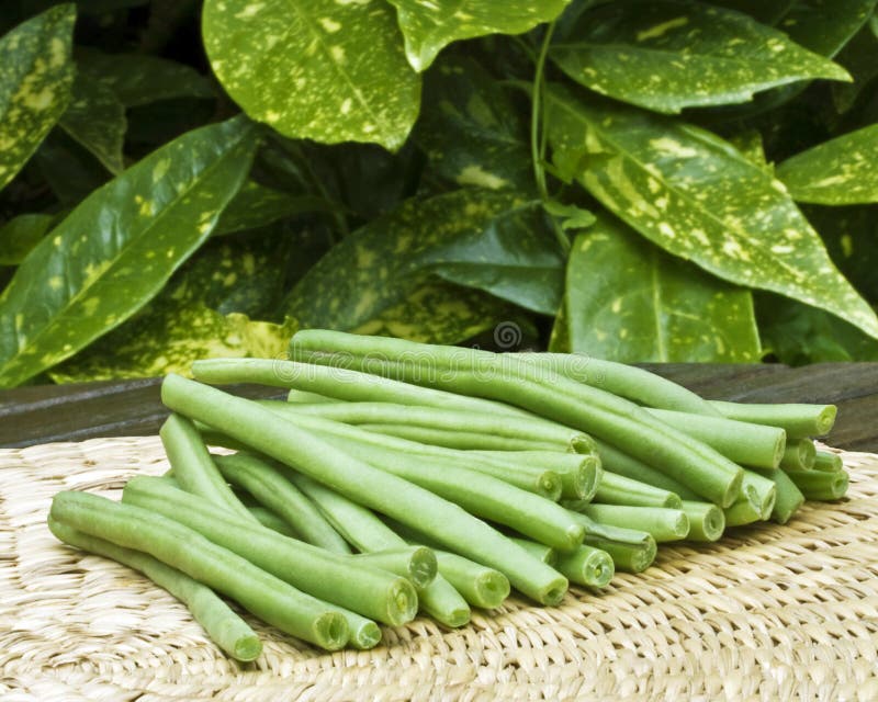 Green beans stock photo. Image of uncooked, organic, vegetables - 15372098