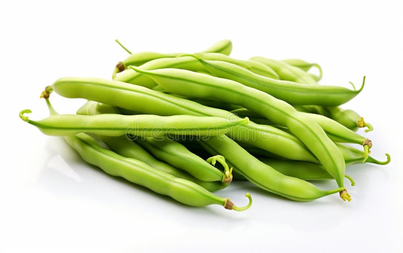 French Beans White Background Stock Illustration - Illustration of ...