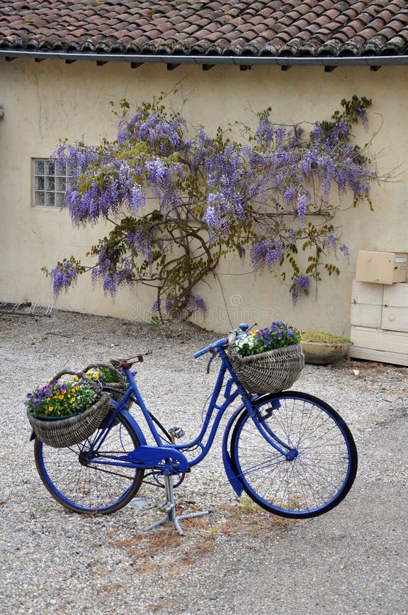 The french bike stock image. Image of colour, color, cyclist - 22496261