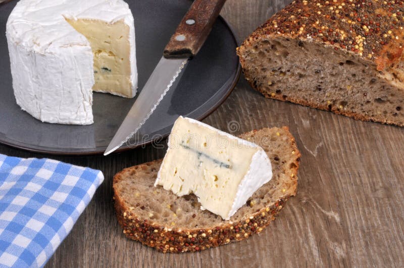 French Blue Cheese on a Slice of Bread Stock Photo - Image of french ...
