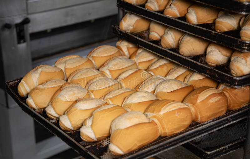 French Bread in Production Inside the Bakery Stock Photo - Image of ...