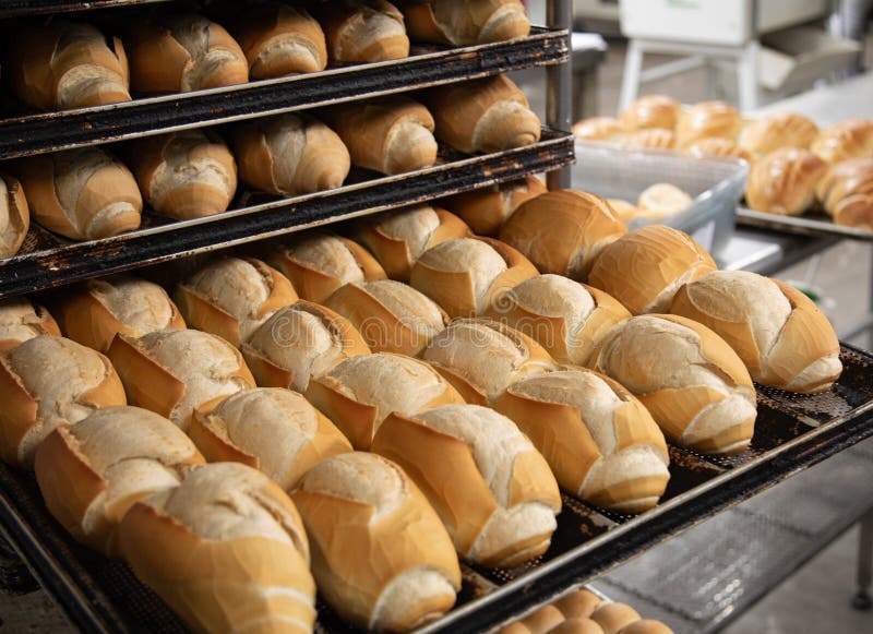 French Bread in Production Inside the Bakery Stock Image - Image of ...