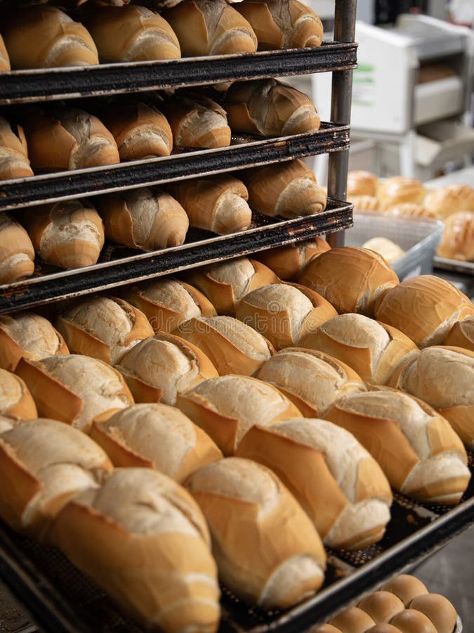 French Bread in Production Inside the Bakery Stock Image - Image of ...