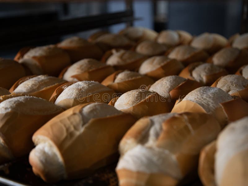 French Bread in Production Inside the Bakery Stock Image - Image of ...