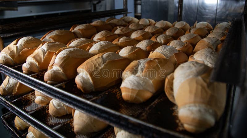 French Bread in Production Inside the Bakery Stock Photo - Image of ...