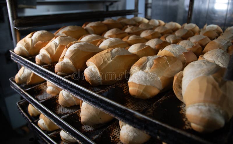 French Bread in Production Inside the Bakery Stock Image - Image of ...