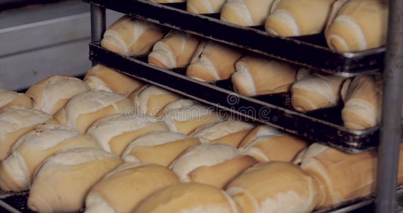 French Bread in Production Inside the Bakery Stock Footage - Video of ...