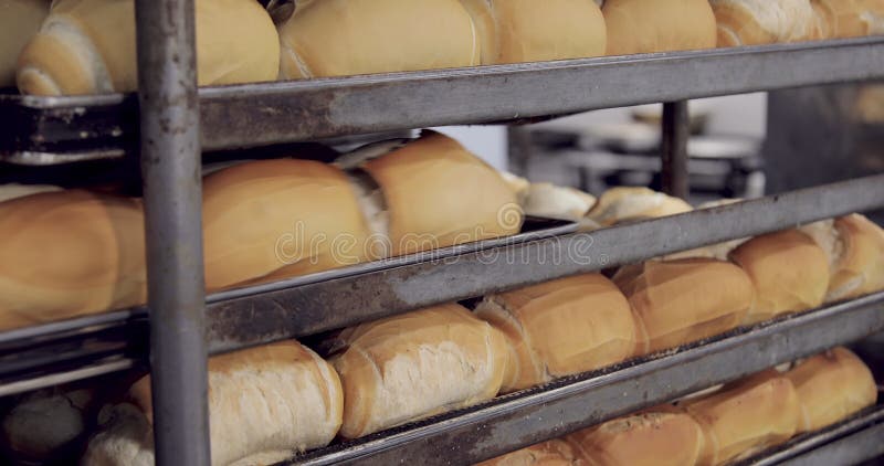 French Bread in Production Inside the Bakery Stock Footage - Video of ...