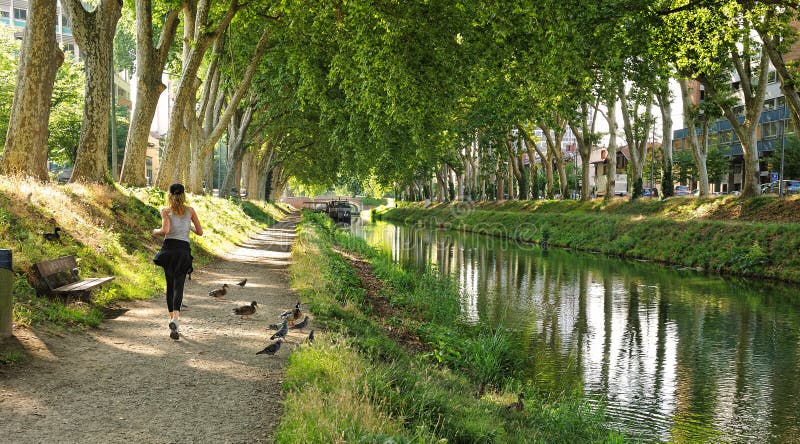 French canal stock photo. Image of pigeons, french, jogger - 21267106