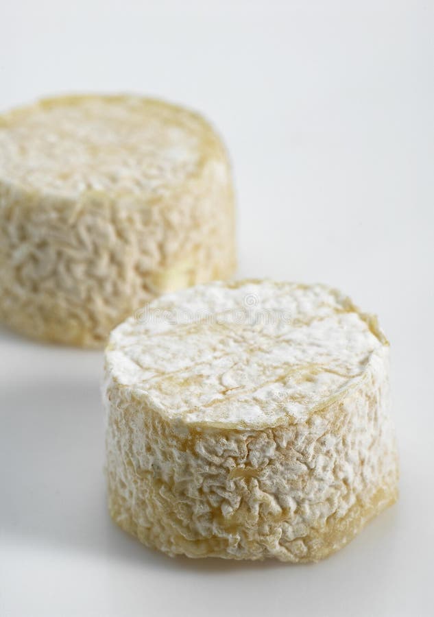 French Cheese Called Crottin, Cheese Made with Goat Milk Stock Photo ...