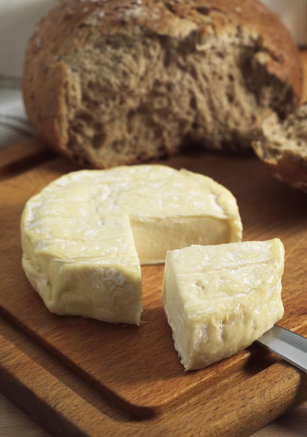 French Cheese Called Saint Marcelin, Cheese Produced from Cow`s Milk ...
