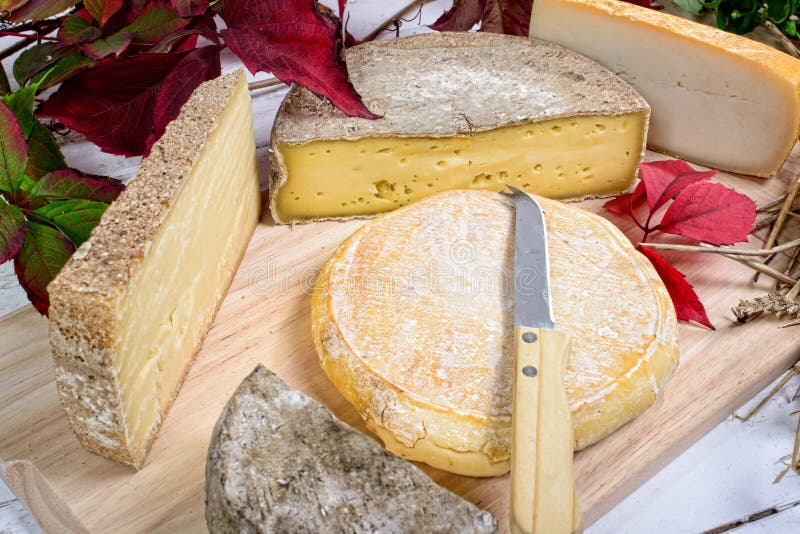 French cheese platter stock photo. Image of dairy, fruit - 44871924