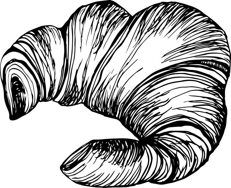 French croissant sketch stock vector. Illustration of croissant - 330002042